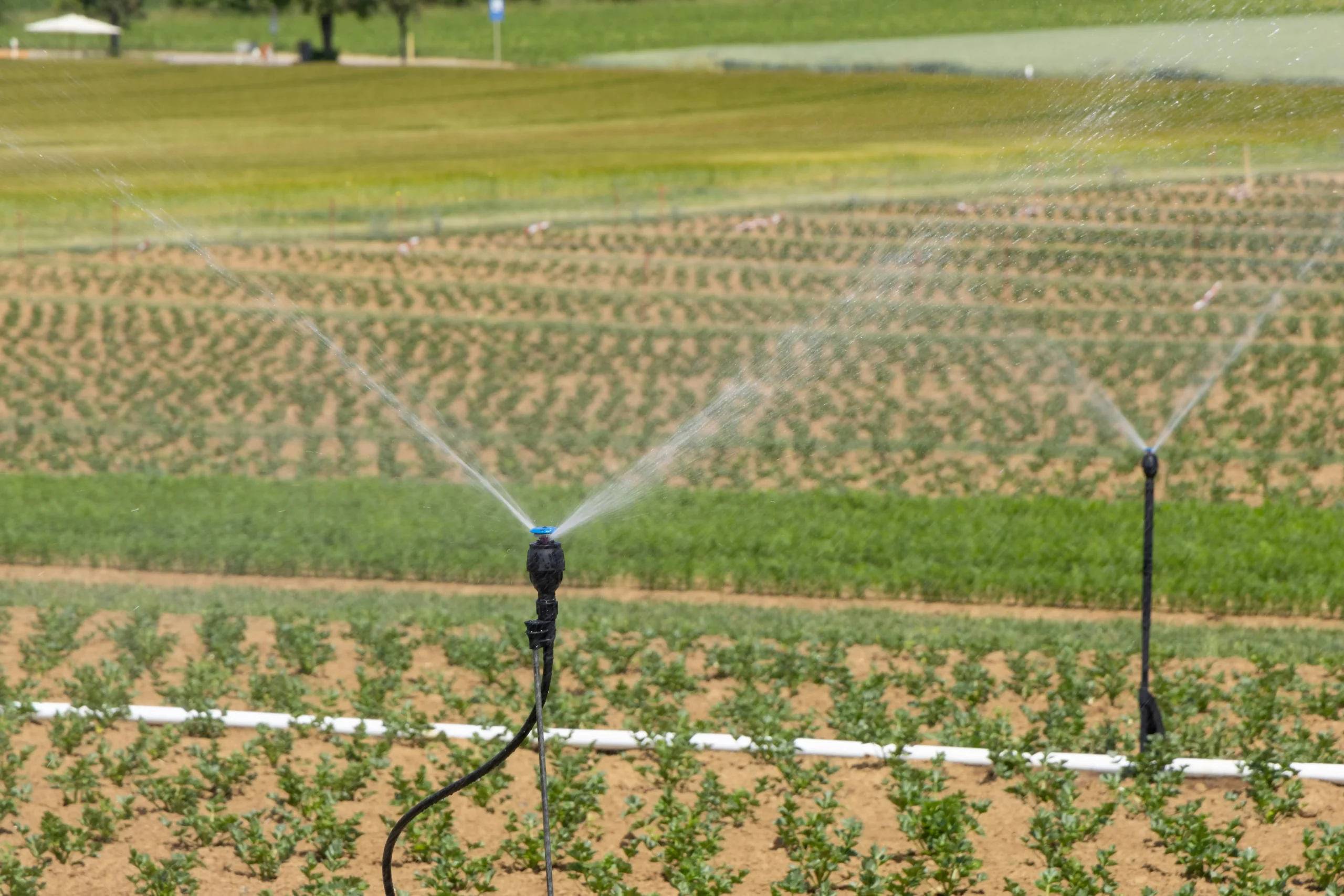 Aspersion agricole : une irrigation performante et économe en eau